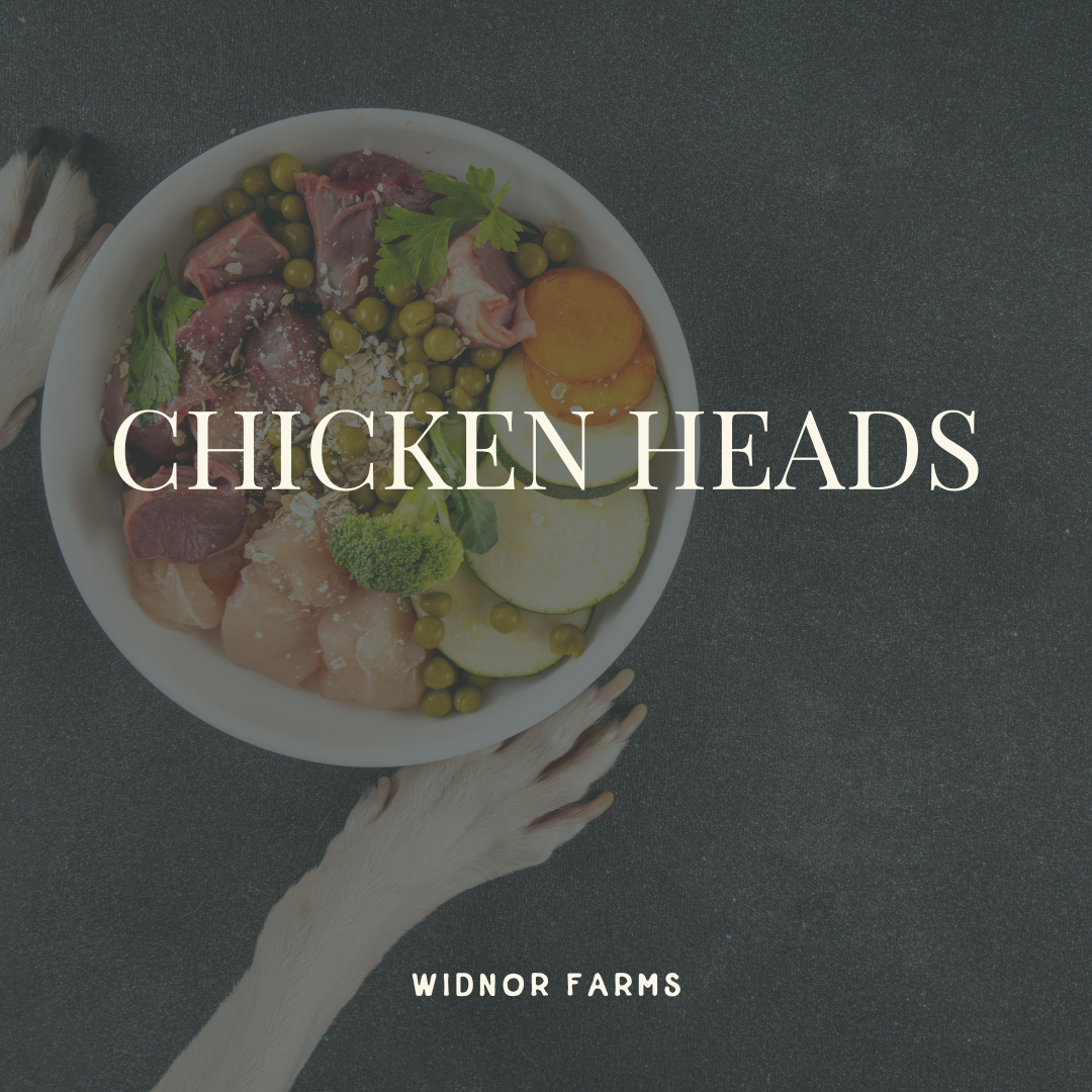 Raw Chicken Heads – Widnor Farms