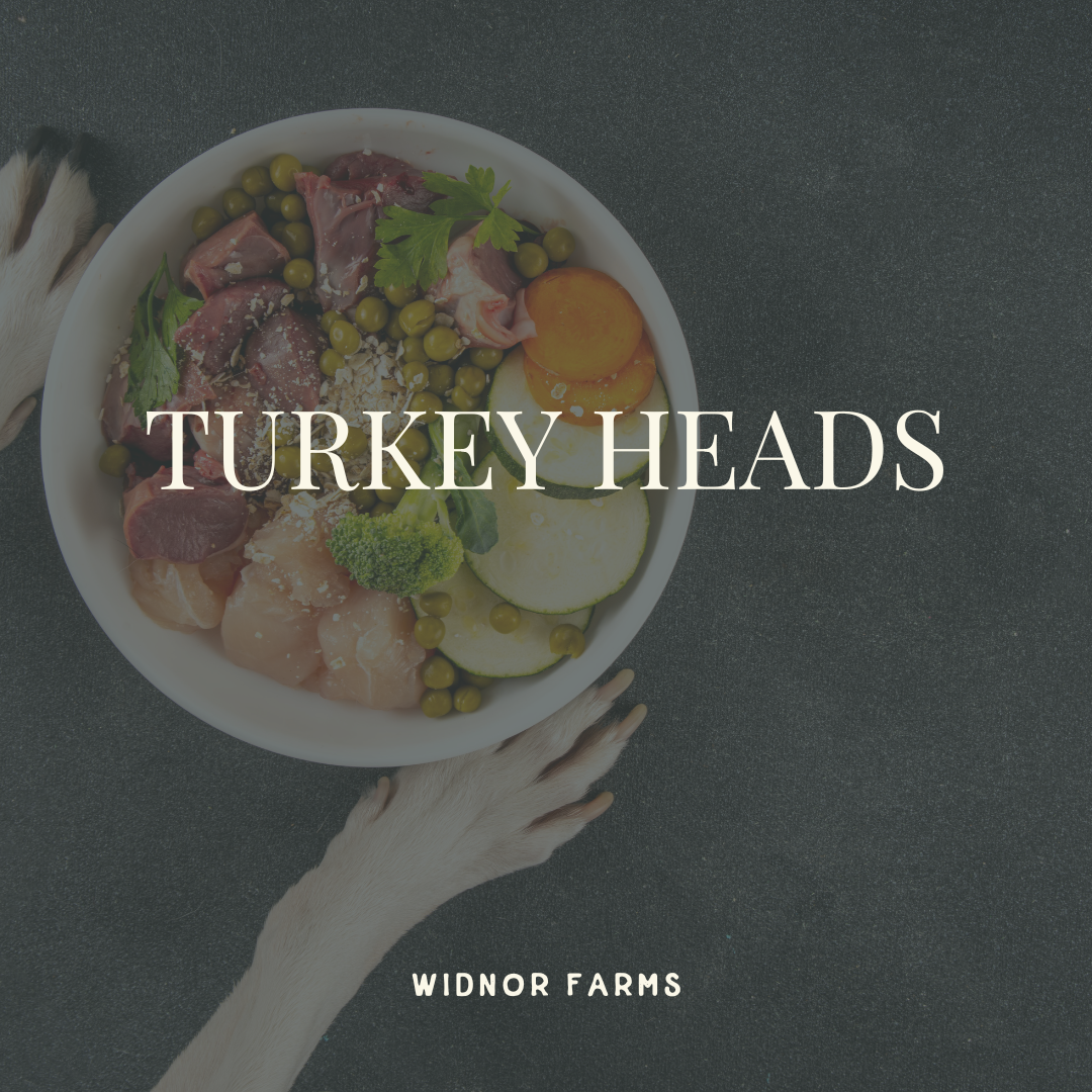 Raw Turkey Heads – Widnor Farms