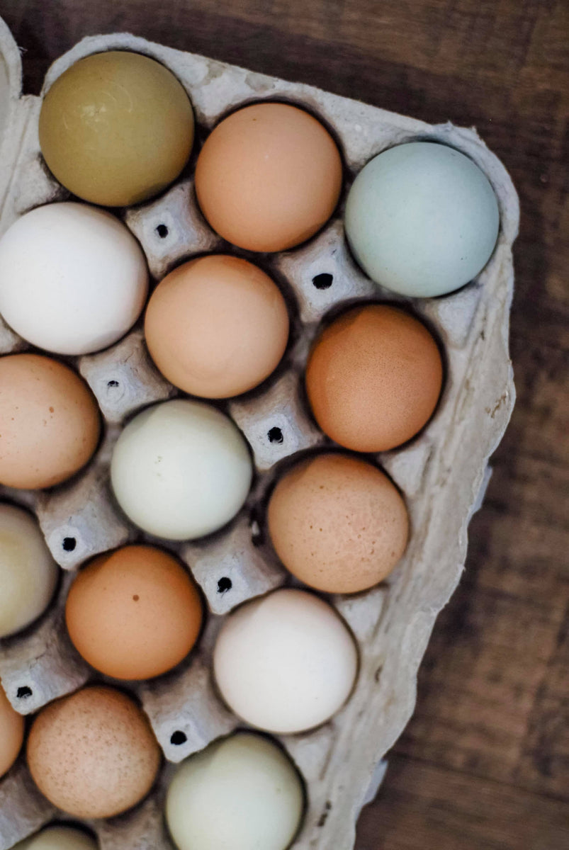 Farm Fresh Eggs – Widnor Farms